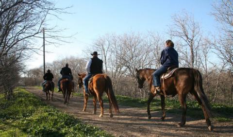 Stockyards Stables Horseback Riding | Equestrian Adventures